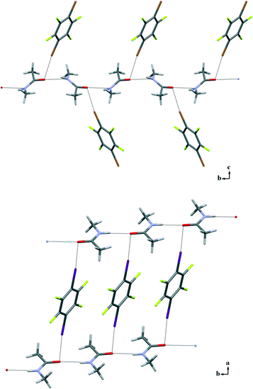 Orthogonal halogen and hydrogen bonds involving a peptide bond model ...