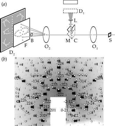 Structural transformation of lattice defects in free-spreading growth ...