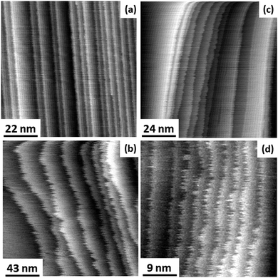Kink energy and kink dipole moments on vicinal Au(001) in halide ...