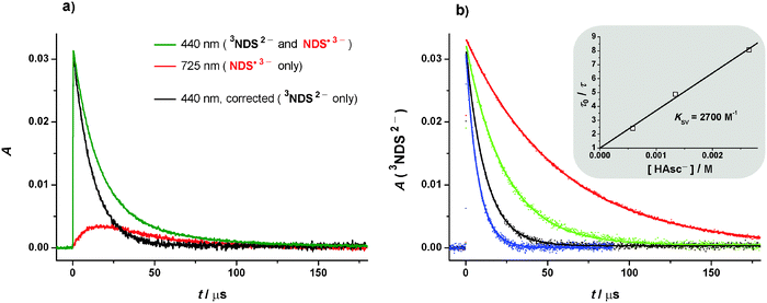 Highly efficient green-light ionization of an aryl radical anion: key ...