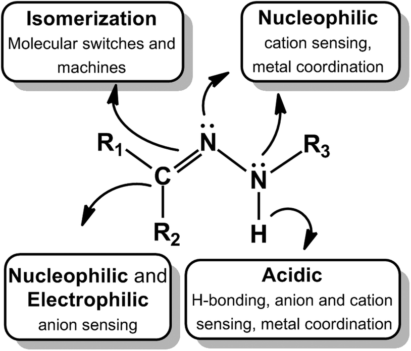 Hydrazone-based switches, metallo-assemblies and sensors - Chemical ...