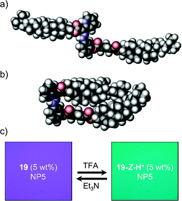 Hydrazone-based switches, metallo-assemblies and sensors - Chemical ...