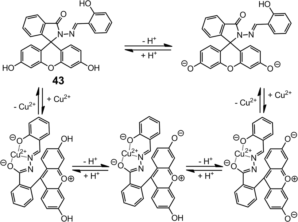 Hydrazone-based switches, metallo-assemblies and sensors - Chemical ...