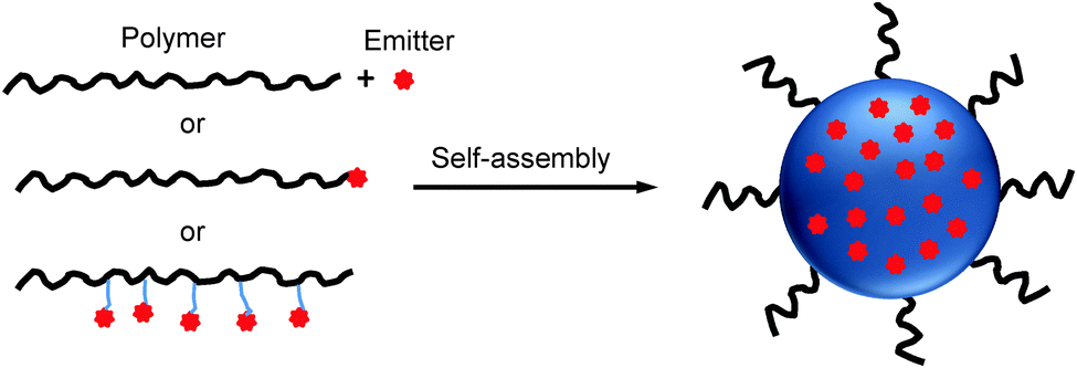 Polymer-encapsulated organic nanoparticles for fluorescence and photoacoustic imaging - Chemical ...