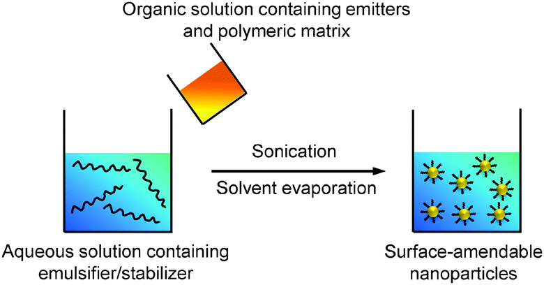 Polymer-encapsulated organic nanoparticles for fluorescence and ...