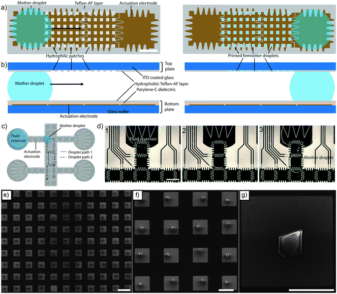 MOF positioning technology and device fabrication - Chemical Society ...