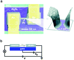 Single-molecule electronics: from chemical design to functional devices ...