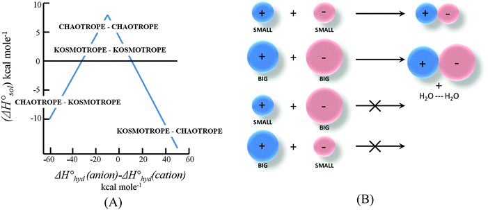 Models and mechanisms of Hofmeister effects in electrolyte solutions ...