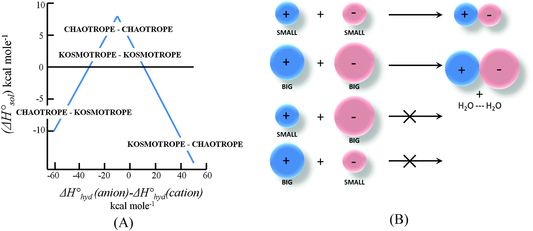 Models and mechanisms of Hofmeister effects in electrolyte solutions, and colloid and protein ...