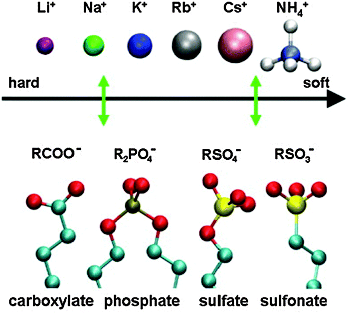 Models and mechanisms of Hofmeister effects in electrolyte solutions, and colloid and protein ...