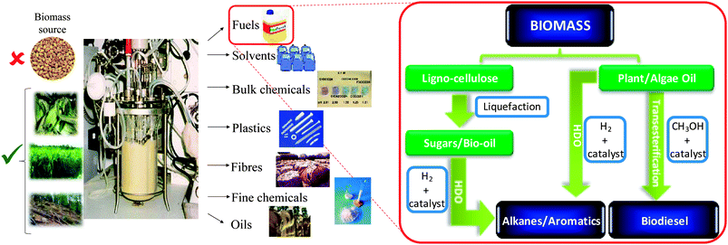 Heterogeneous catalysis for sustainable biodiesel production via ...