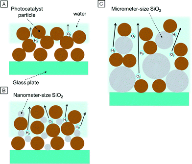 Fabrication of photocatalyst panels and the factors determining their ...