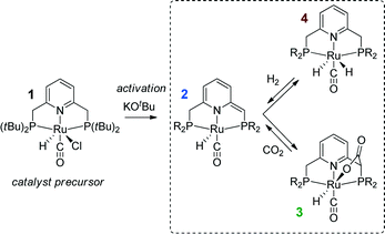 Mechanism of CO 2 hydrogenation to formates by homogeneous Ru-PNP ...