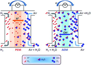 Anion-exchange membranes in electrochemical energy systems - Energy ...