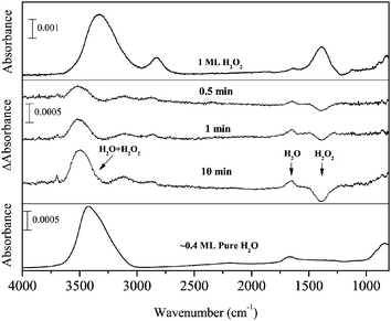 Reaction kinetics and isotope effect of water formation by the surface ...