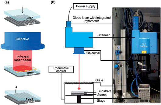 Organic semiconductor distributed feedback laser pixels for lab-on-a-chip applications ...