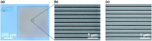 Organic semiconductor distributed feedback laser pixels for lab-on-a-chip applications ...