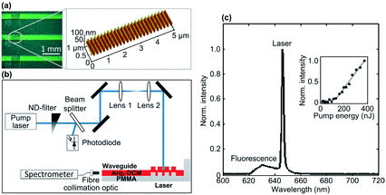 Organic semiconductor distributed feedback laser pixels for lab-on-a ...