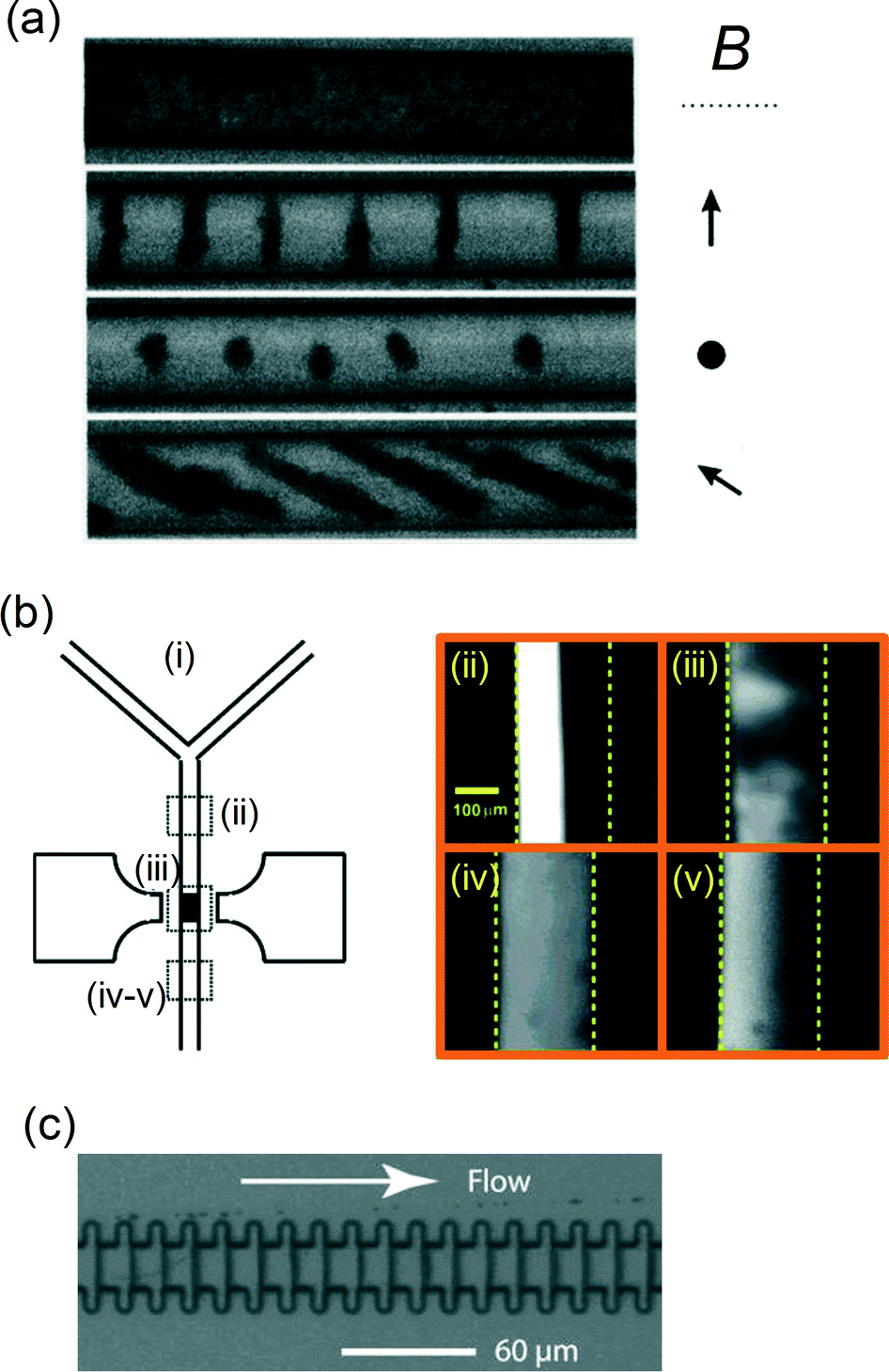 Integrated lab-on-chip biosensing systems based on magnetic particle ...