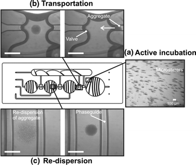 Integrated lab-on-chip biosensing systems based on magnetic particle ...