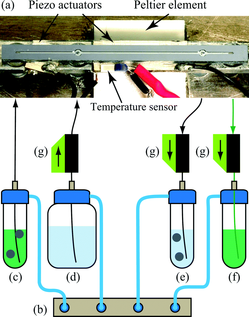 Acoustic Radiation Forces At Liquid Interfaces Impact The Performance Of Acoustophoresis Lab