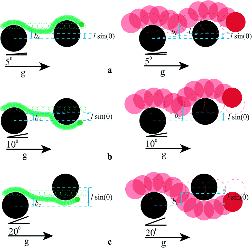 Deterministic lateral displacement for particle separation: a review - Lab on a Chip (RSC ...