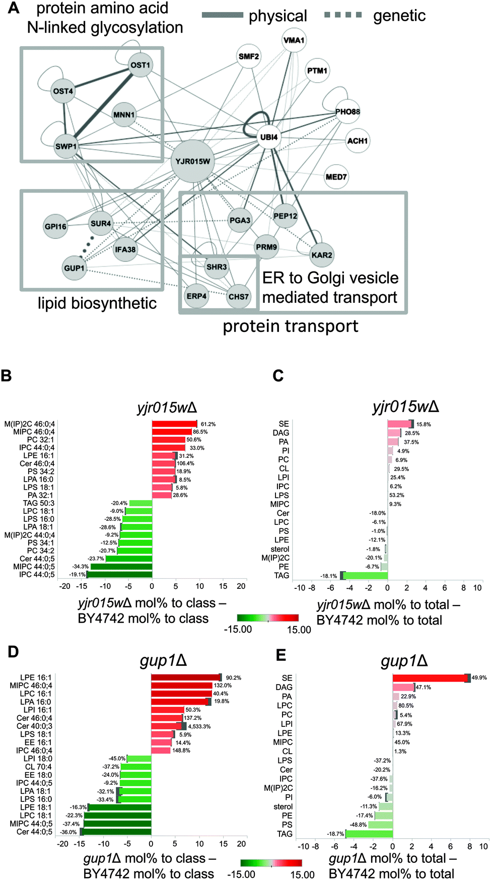High-content screening of yeast mutant libraries by shotgun lipidomics ...