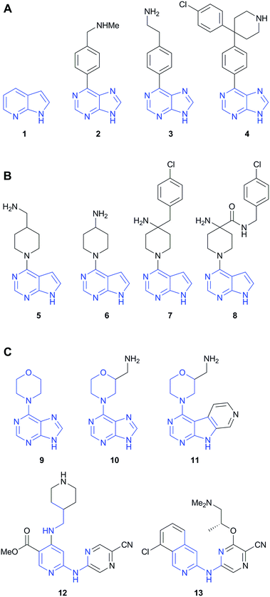 Fragment growing to retain or alter the selectivity of anchored kinase ...