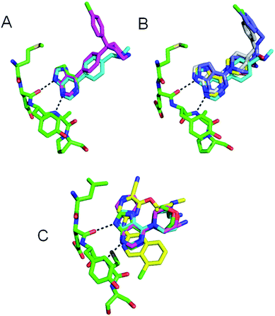 Fragment growing to retain or alter the selectivity of anchored kinase ...