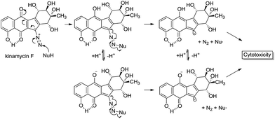 Prekinamycin and an isosteric-isoelectronic analogue exhibit comparable ...