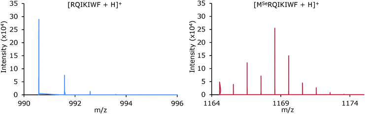 Quantification of pharmaceutical peptides using selenium as an ...