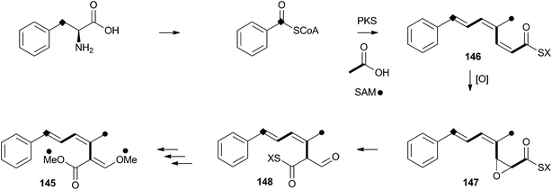 Oxidative rearrangements during fungal biosynthesis - Natural Product ...