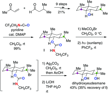 sp 3 C–H oxidation by remote H-radical shift with oxygen- and nitrogen ...