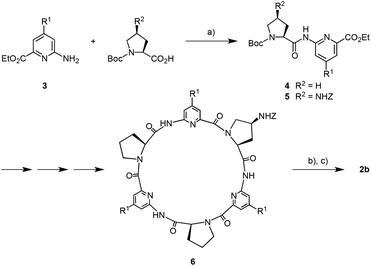 Anion binding of a neutral bis(cyclopeptide) in water–methanol mixtures ...