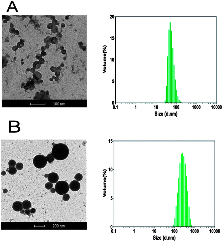 Synthesis and characterization of variable conformation pH responsive block co-polymers for ...