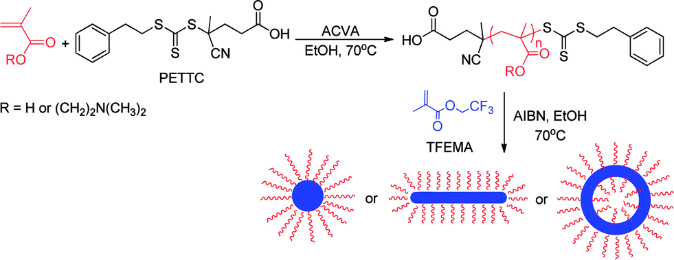 Comparison of pseudo-living character of RAFT polymerizations conducted ...