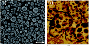 Polymer patchy colloids with sticky patches - Polymer Chemistry (RSC ...