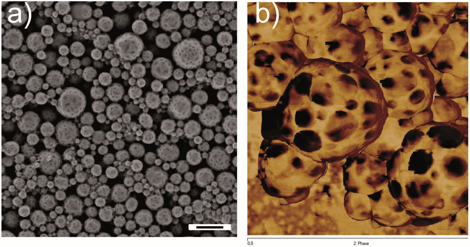 Polymer patchy colloids with sticky patches - Polymer Chemistry (RSC ...