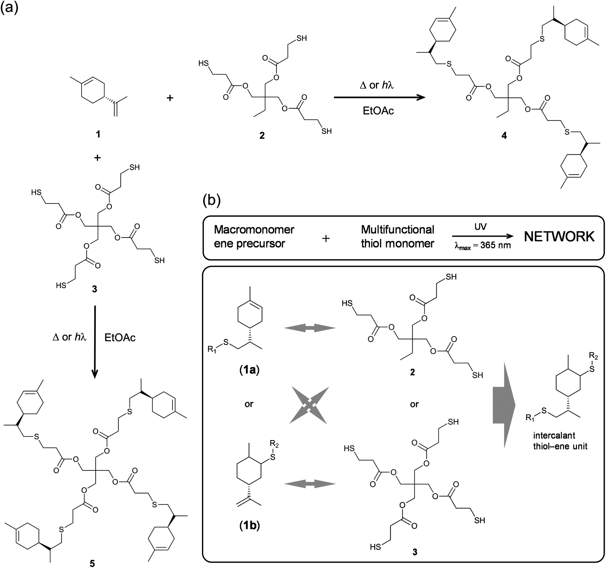 Bringing d -limonene to the scene of bio-based thermoset coatings via ...