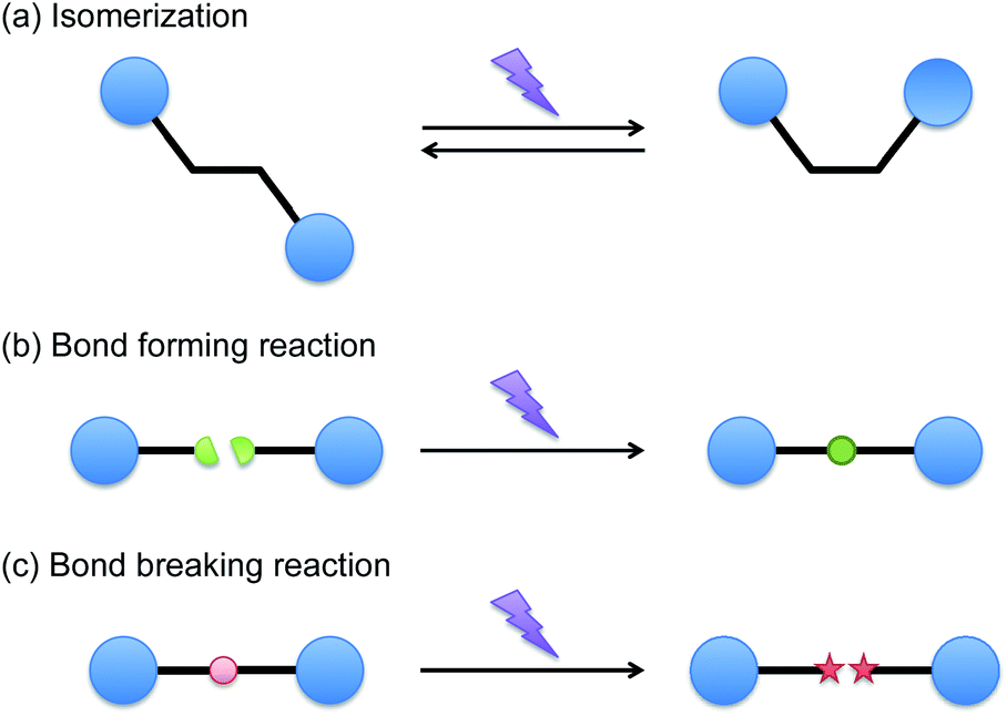 The power of light in polymer science: photochemical processes to ...