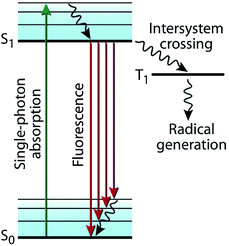 The power of light in polymer science: photochemical processes to ...
