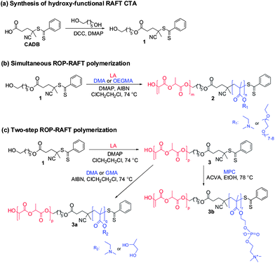 Facile synthesis of thiol-functionalized amphiphilic polylactide–methacrylic diblock copolymers ...