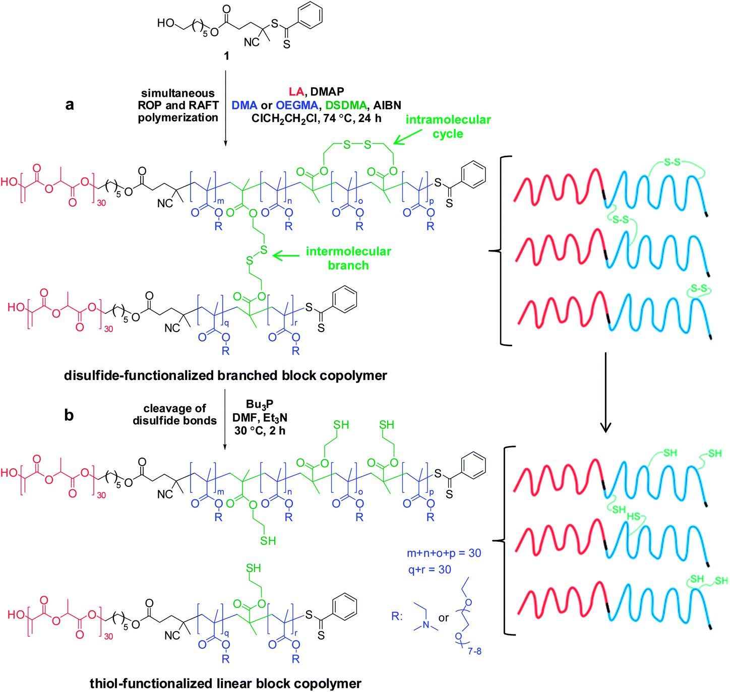 Facile synthesis of thiol-functionalized amphiphilic polylactide–methacrylic diblock copolymers ...