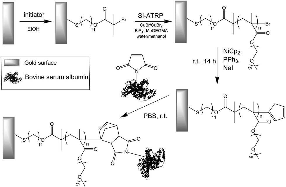 Exploiting end group functionalization for the design of antifouling ...