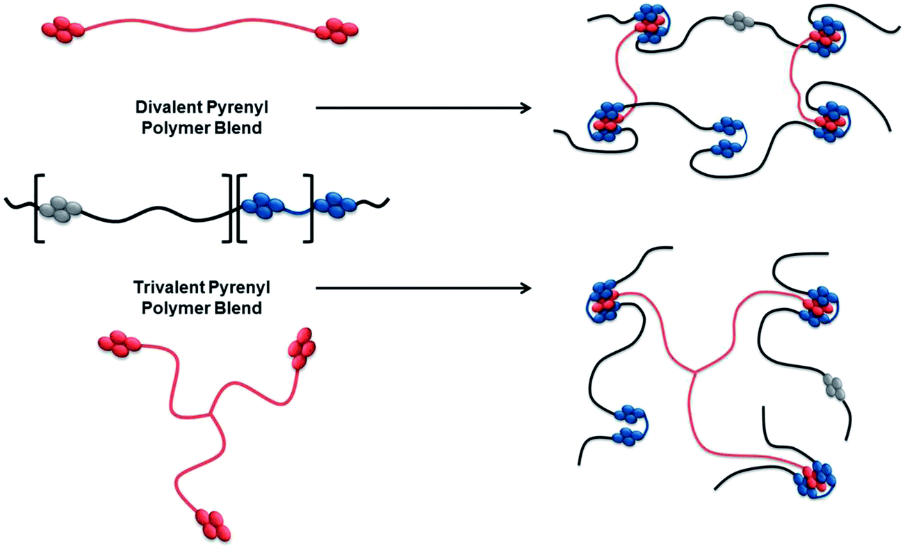 Multivalency in healable supramolecular polymers: the effect of supramolecular cross-link ...