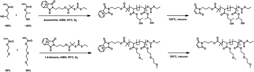 Effect of polymer chemistry on globular protein–polymer block copolymer ...