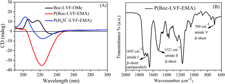 Controlled synthesis of β-sheet polymers based on side-chain ...