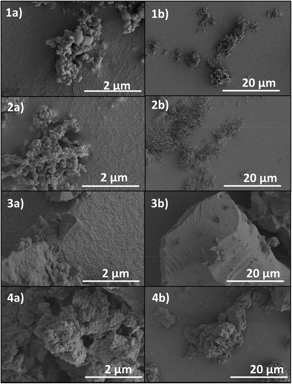 Network formation mechanisms in conjugated microporous polymers ...