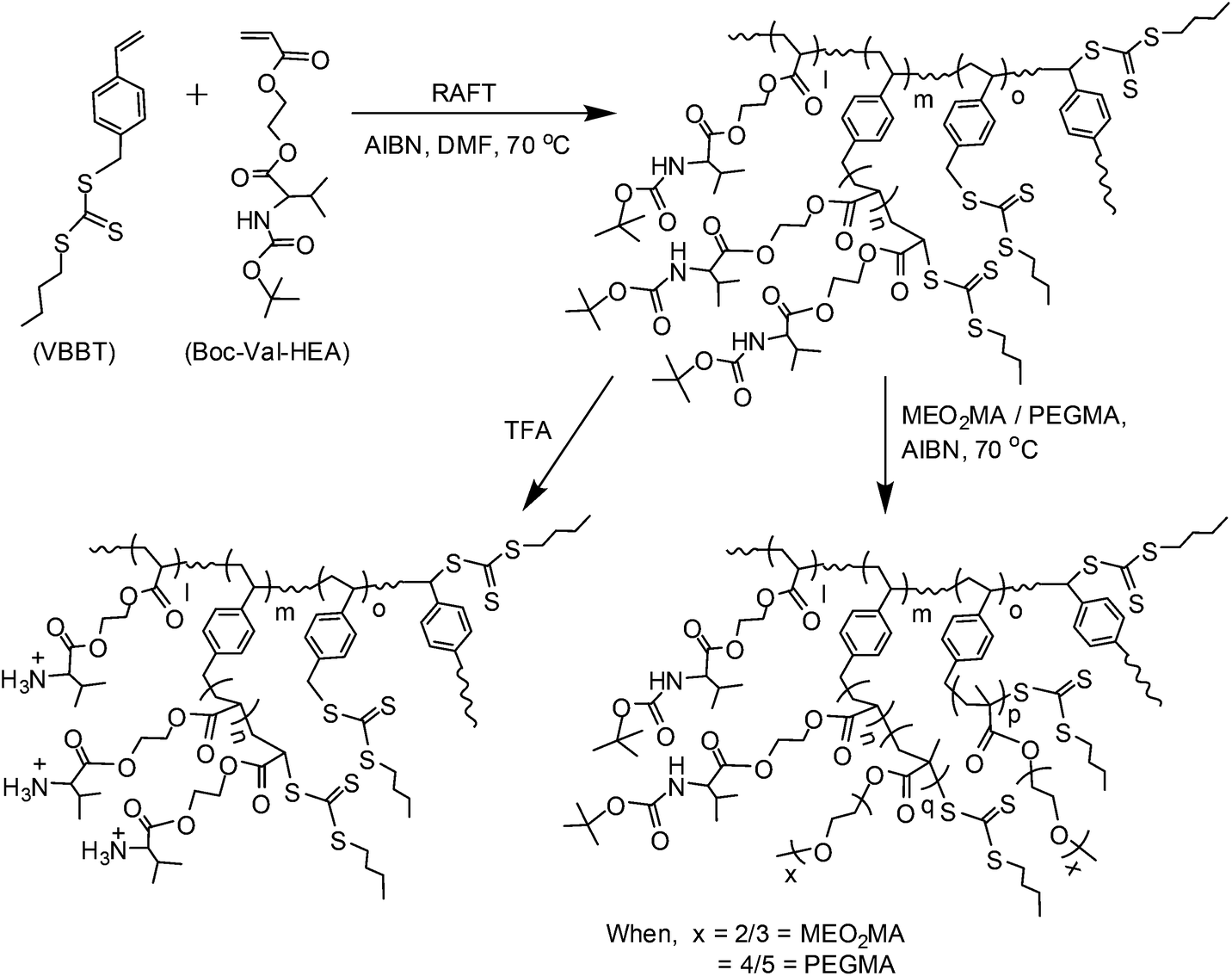 Facile RAFT synthesis of side-chain amino acids containing pH ...