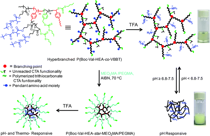Facile RAFT synthesis of side-chain amino acids containing pH ...